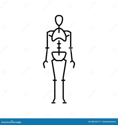 Skeleton Bones Human Line Icon Vector Illustration Stock Vector Illustration Of Skeleton Line