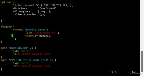 配置dns正反向解析dns怎么创建正向数据库文件 Csdn博客