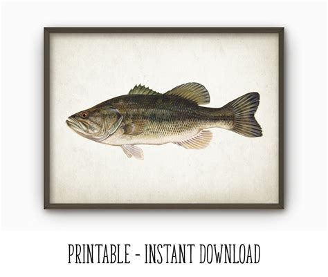 Printable Largemouth Bass Fish Print Wall Art Freshwater Fish Etsy