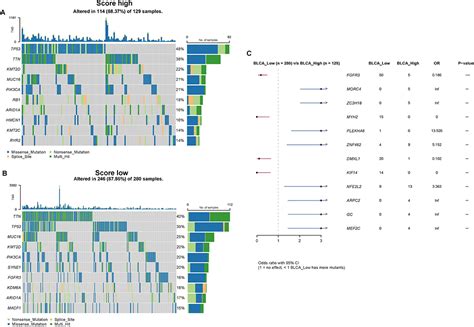 Integrating Bulk And Single Cell Rna Sequencing Bladder Ca Jir