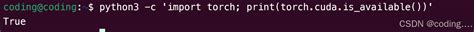 windows wsl2中使用 amd 显卡的 gpu rocm 加速运行 pytorch 大模型 wsl rocm csdn博客