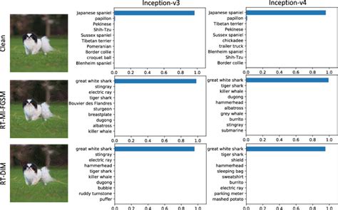the classification of a clean image and corresponding adversarial