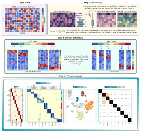 Scmags Marker Gene Selection From Scrna Seq Data For Spatial