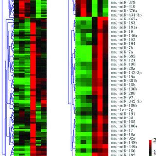 Unsupervised Hierarchical Clustering Of MiRNA Expression Patterns