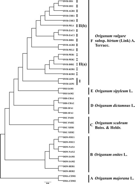 upgma dendrogram based on nei and li dice similarity index showing the
