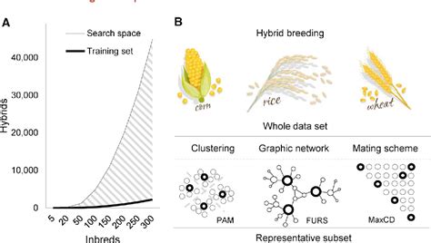 Figure 1 From Optimal Designs For Genomic Selection In Hybrid Crops