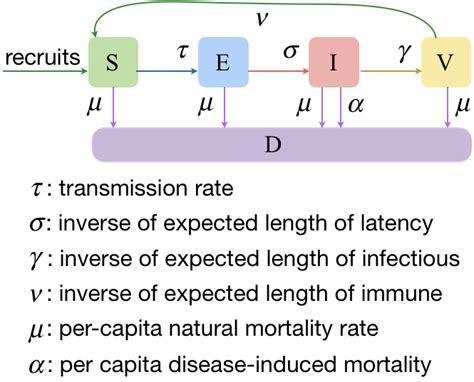 Modeling Epidemics And Analyzing Ebola Incidence Data Using Numerus Model Builder Atlas Of Science