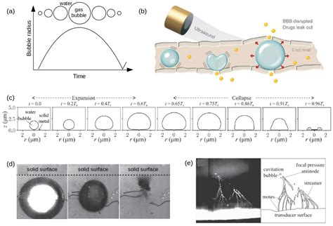 Examining The Propagation Of Ultrasonic Waves Through Liquids