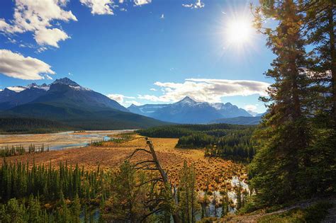 Howse Pass Viewpoint In Banff National Park Canada Photograph By