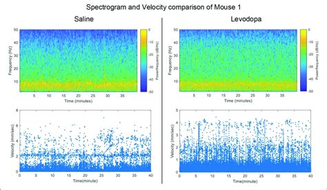spectrogram of striatal lfp signals and velocity comparisons in