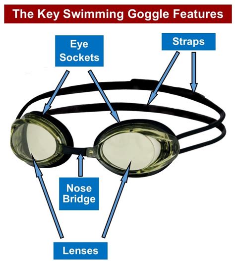 Choosing The Correct Swimming Goggles Eatsleepswimcoach