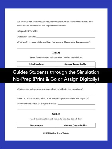 Enzyme Function And Data Lab Activity Guided No Prep Virtual Science Simulation