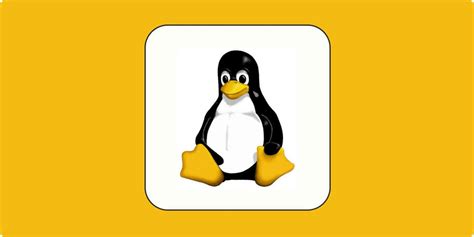 Unleashing The Power Of Linux A Journey Into Mastering Essential