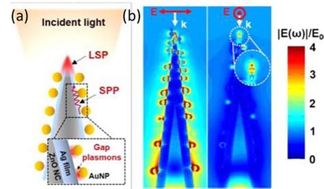 Ultrasharp Zno Nanocone Arrays Hybridized With The Plasmonic Systems Of Download Scientific