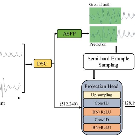 The Contrastive Training Process Of Tiny Ppg Model For Ppg Artifact Download Scientific Diagram