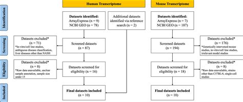 Frontiers Key Hepatic Signatures Of Human And Mouse Nonalcoholic