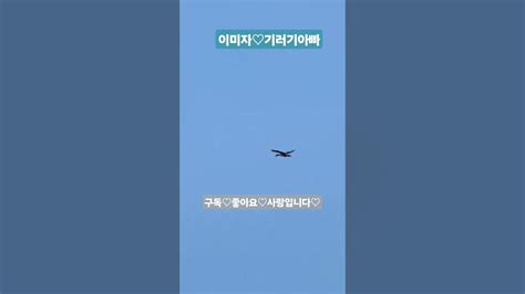 이미자기러기아빠이미자기러기아빠이미자 Youtube