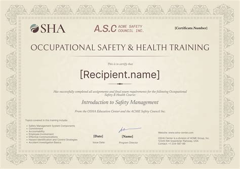 Practical And Professional Completion Certificate Template