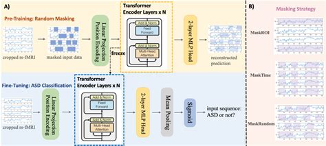 [논문 리뷰] Self Supervised Pre Training Tasks For An Fmri Time Series Transformer In Autism Detection