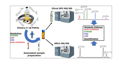 High Performance Liquid Chromatography Quadrupole Mass Spectrometry At Sara Sugerman Blog