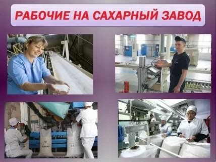 Работа Вахтой в Краснодаре и России - Актуальные Вакансии 2024 | JobVacant