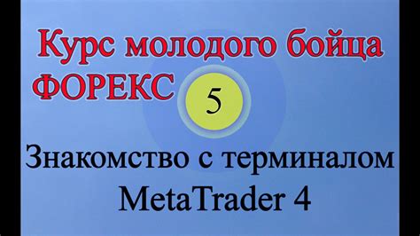 Знакомство с терминалом Metatrader 4 Обучение Форекс Урок 5 Youtube