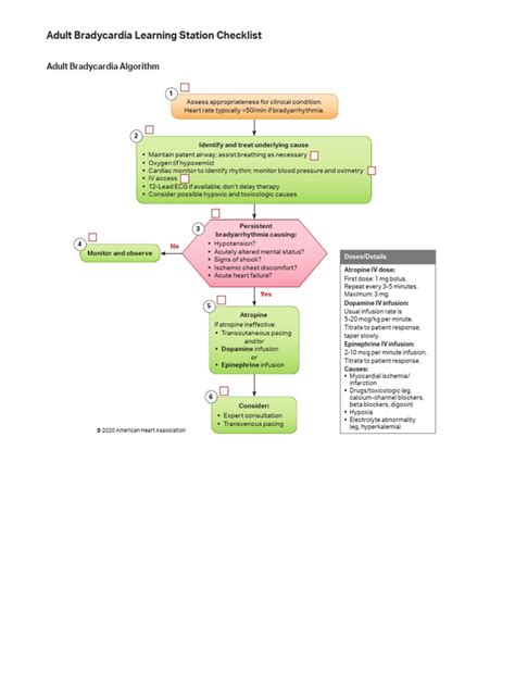 Acls Algorithms 3 Pdf Cardiology Internal Medicine