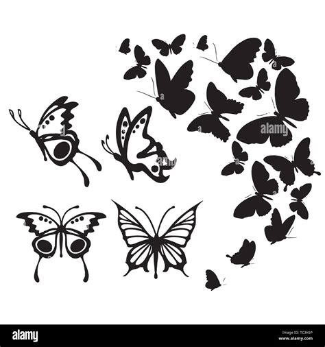 Insect Butterfly Outline Vector Nature Coloring Book Insect Butterfly Outline Vector Nature