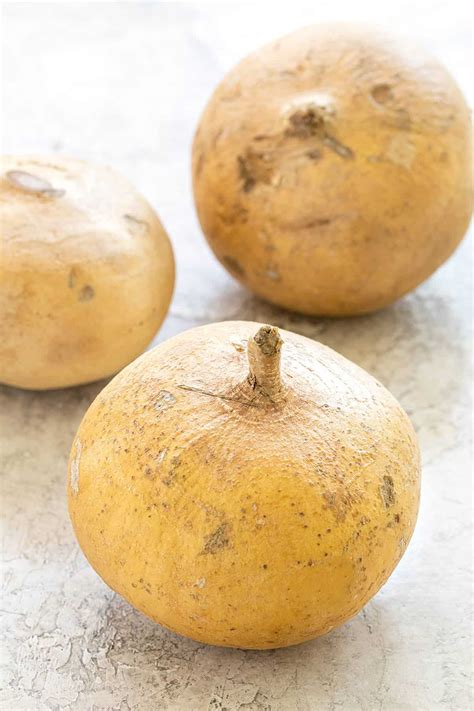 What Is Jicama Jessica Gavin