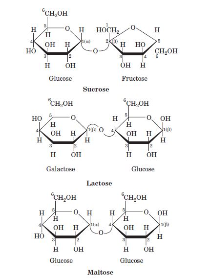 Biochemistry What Is The Difference Between A Glycosidic Bond And Peptide Bond Chemistry
