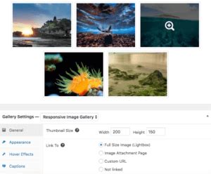 How To Resize Images In WordPress A Comprehensive Guide