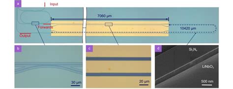 Mark Sanderson On Linkedin Spatio Temporal Isolator In Lithium Niobate