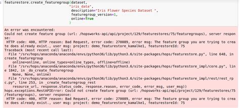 error creating feature group using online true parameter feature
