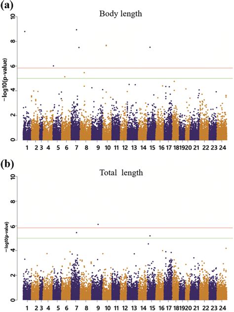 Manhattan Plot For The Significance Of Each Genetic Variant In Gwas For