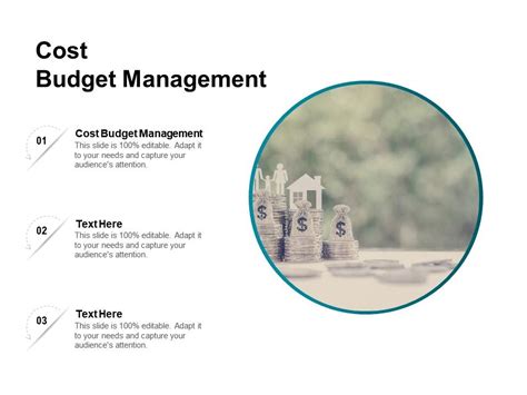 Cost Budget Management Ppt Powerpoint Presentation Styles Diagrams Cpb Powerpoint Slides