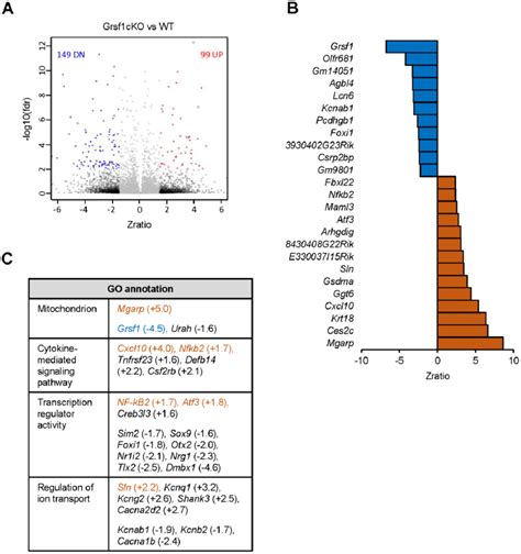 Microarray Analysis Of Rnas Differentially Expressed In Skeletal Muscle Download Scientific