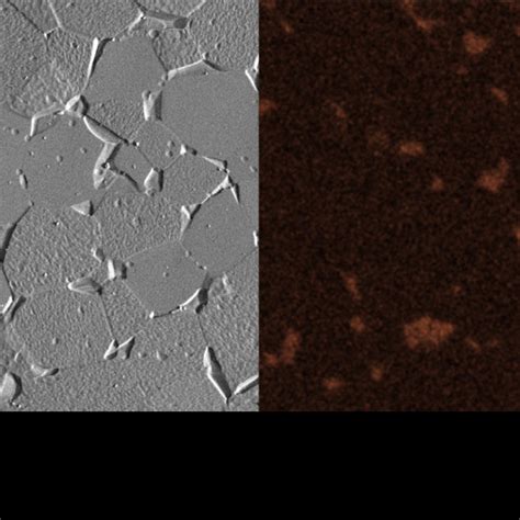 Left Globular Microstructure Dic Contrast Of Ti 044o 05fe 008c