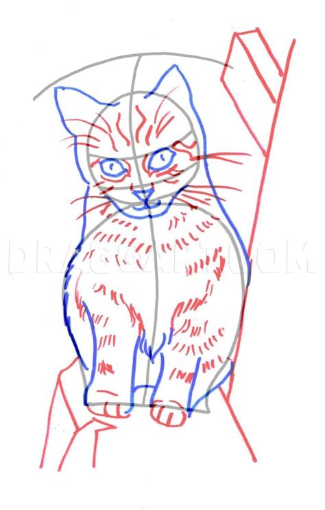 How To Sketch A Cat Step By Step Drawing Guide By Catlucker Dragoart Com Sketches Guided
