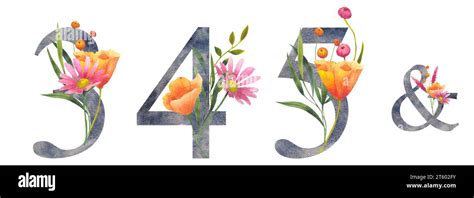 Number 3 4 5 Set Of Floral Numeric Three Four Five In Watercolor With Wildflowers Bouquet