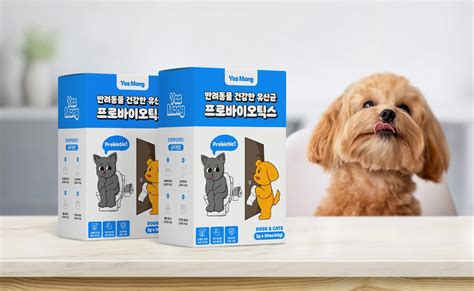 예스몽 캐릭터 디자인 2d 캐릭터 포트폴리오 크몽