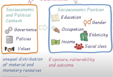 Module 5 Oral Health Determinants Flashcards Quizlet