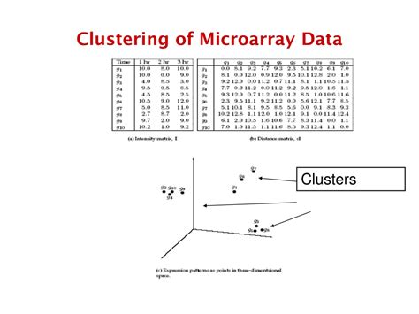 ppt microarray data analysis techniques for effective gene function inference powerpoint