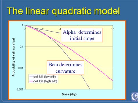 Dose Fractionation Radiotherapy Flashcards Quizlet
