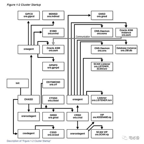 2 集群系统进程和服务总览 oracle 集群软件全解析