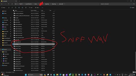 Why Did I Find A Sniffwav File In The Minecraft Folder Rphoenixsc