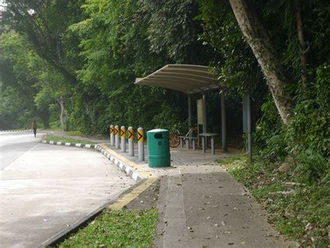 56 Imágenes Fotos De Stock Objetos En 3d Y Vectores Sobre A Bustop Shutterstock