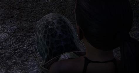 Camnera Album On Imgur