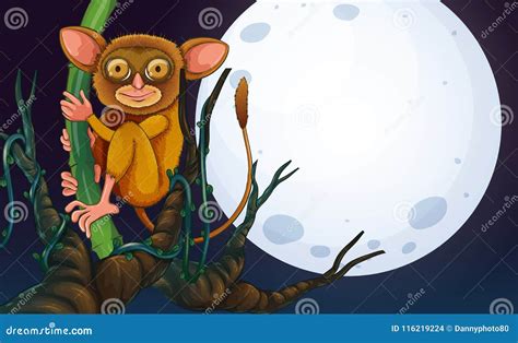 Tarsier On The Tree At Night Stock Vector Illustration Of Stickers