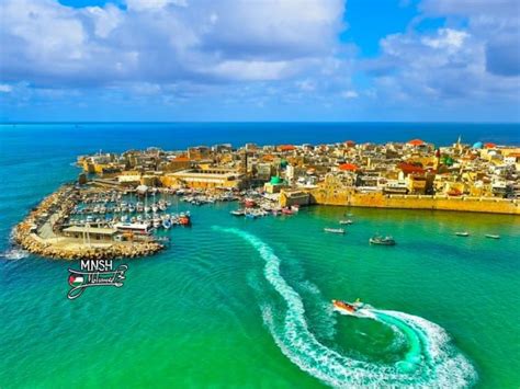 mohamed akkad posted on linkedin