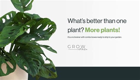 Combo Boxes Grow With The Flow